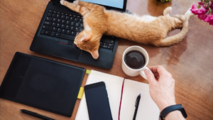 coconala-side-job1 | 内定ジャパン.com｜仕事・キャリアデザインを応戦するWEBマガジン